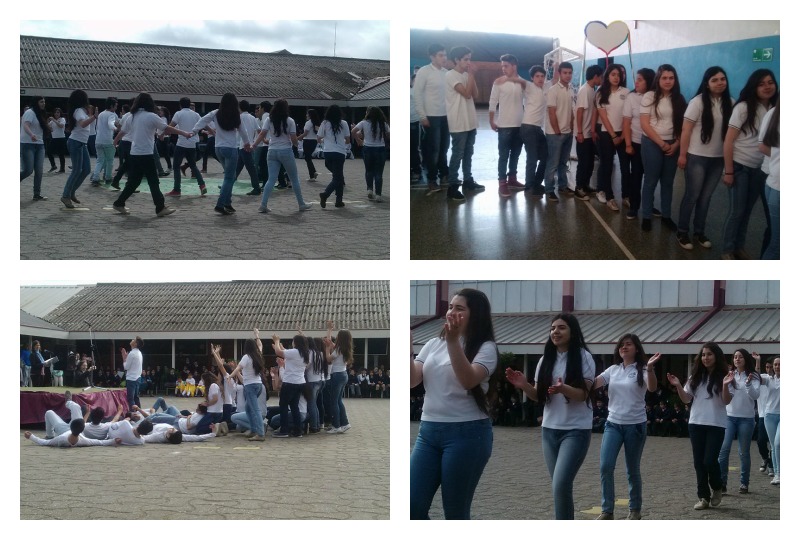 Collage Presentacion 4°kjgi | Colegio Paula Montal, San Clemente